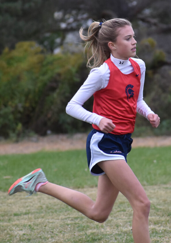 Lewis, Trojans ‘Stampede’ Their Way To Success | News, Sports, Jobs ...